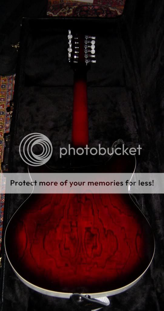 Show me your 12 strings - Page 3 - OffsetGuitars.com