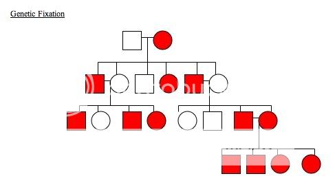 Inbreeding depression - The facts. | Reptile Forums