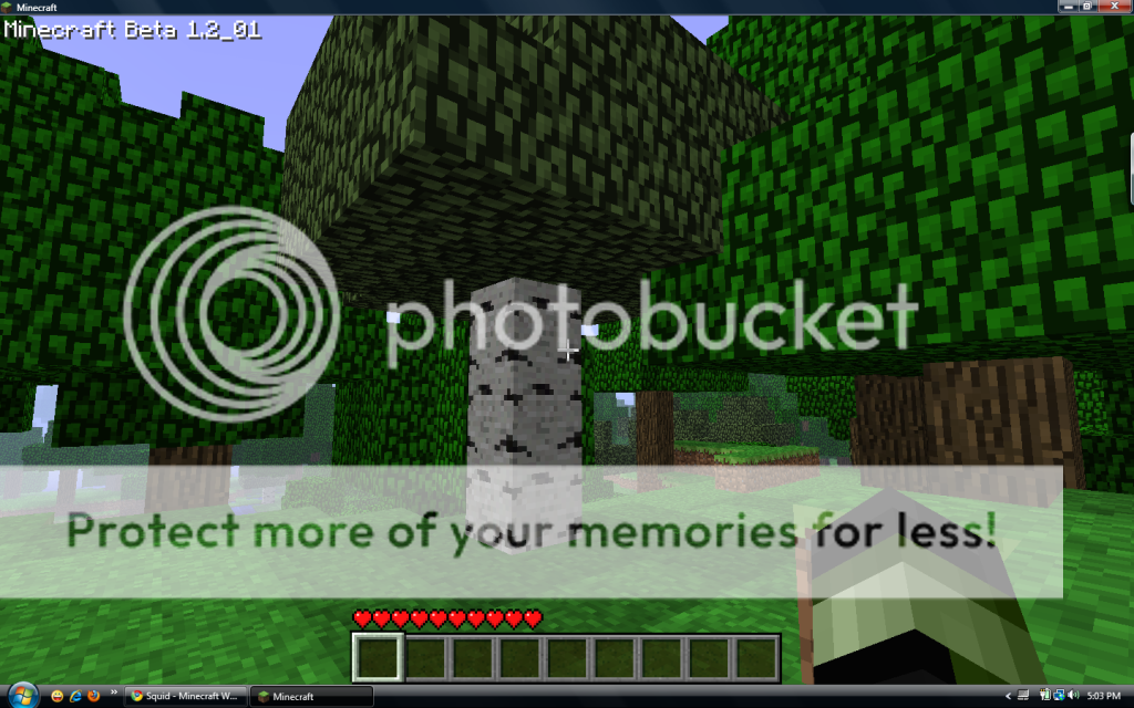 Some weird black and white tree? - Survival Mode - Minecraft: Java ...