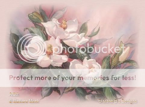 MISTYS TOURNEY PAGES