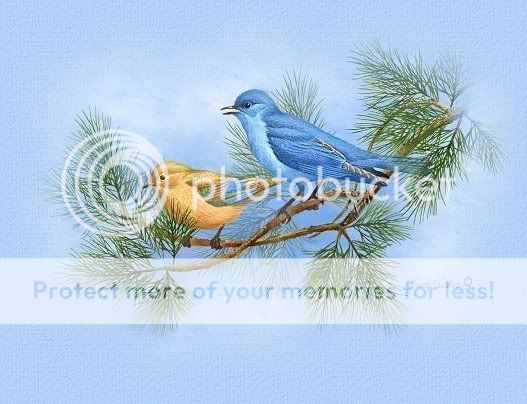 MISTYS TOURNEY PAGES