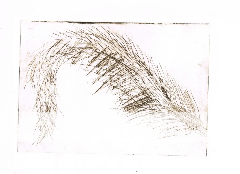 hello aoifes blog,: review on publishing lesson 23/9/09