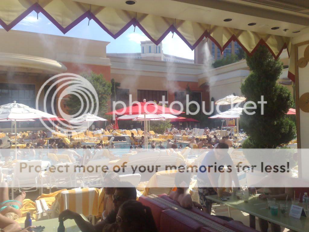 Pat Wynn Naked New Content: Files & Pictures #790