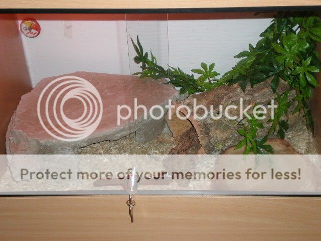 The Viv stack (5 vivs in the stack) | Reptile Forums