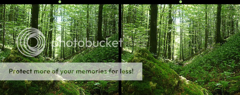 >Stereoscopic images – Cross eye technique | isivak